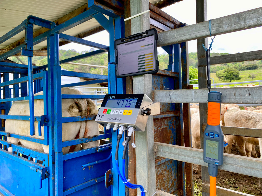 NLIS Tag Reader | NLIS Tags | Trusted by Australian Farmers